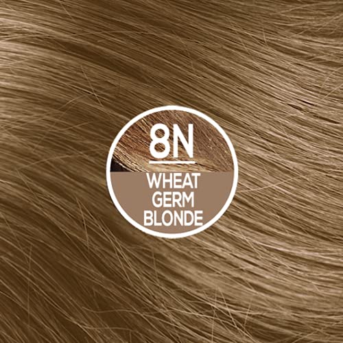 Naturtint Permanent Hair Color 8N Wheat Germ Blonde (Pack of 6), Ammonia Free, Vegan, Cruelty Free, up to 100% Gray Coverage, Long Lasting Results