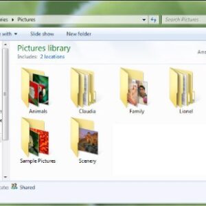 Windows 7 Professional 32-Bit (SB-Version)