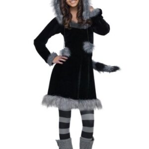 Fun World Womens Sweet Raccoon Teen Costume, Gray, Junior 0/9 US