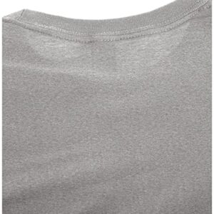 Hanes Men's Nano Premium Cotton T-Shirt (Pack of 2), Light Steel, Medium