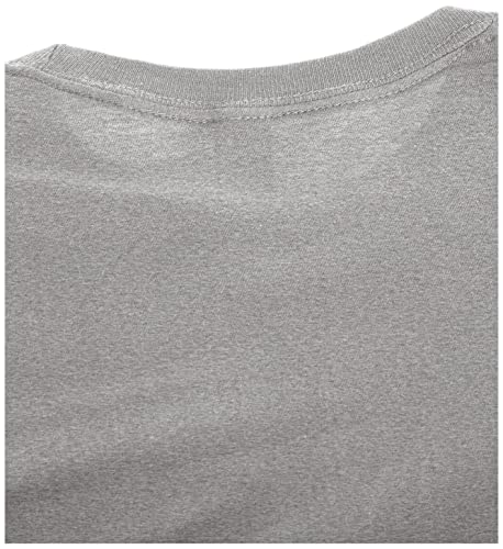 Hanes Men's Nano Premium Cotton T-Shirt (Pack of 2), Light Steel, Medium