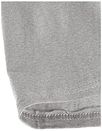 Hanes Men's Nano Premium Cotton T-Shirt (Pack of 2), Light Steel, Medium