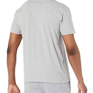 Hanes Men's Nano Premium Cotton T-Shirt (Pack of 2), Light Steel, Medium