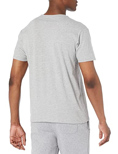 Hanes Men's Nano Premium Cotton T-Shirt (Pack of 2), Light Steel, Medium