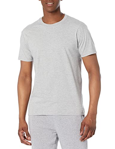 Hanes Men's Nano Premium Cotton T-Shirt (Pack of 2), Light Steel, Medium