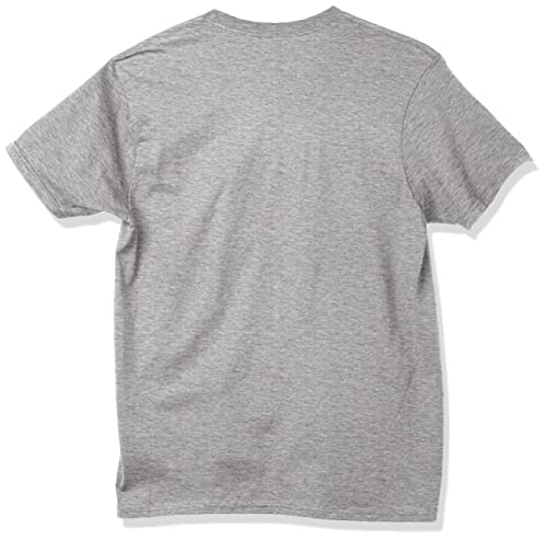 Hanes Men's Nano Premium Cotton T-Shirt (Pack of 2), Light Steel, Medium