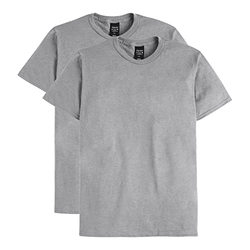 Hanes mens Nano Premium Cotton T-shirt (Pack of 2) fashion t shirts, Light Steel, Large US