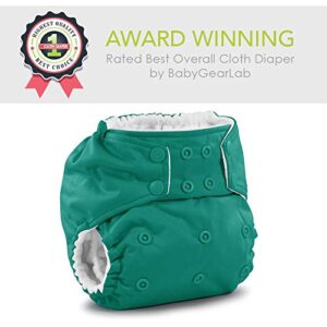 Kanga Care Rumparooz Cloth Diaper Reusable One Size Pocket Diaper with Patented Inner Double Gusset Adjustable 4 Sizes in 1 Diaper + 2 pcs Microfiber Insert Soaker (6-40+ lbs) - Clyde