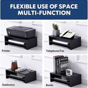 FITUEYES Monitor Stand - 2 Tier Computer Monitor Riser with 16.7 Inch Shelf, Wood Desktop Stand for Laptop Computer Screen, Desk Organization, Office Supplies,Black, DT204201WB