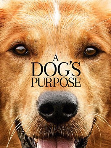 A Dog's Purpose