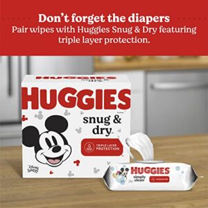 Huggies Simply Clean Unscented Baby Wipes, 9 Flip-Top Packs (576 Wipes Total),64 Count (Pack of 9)