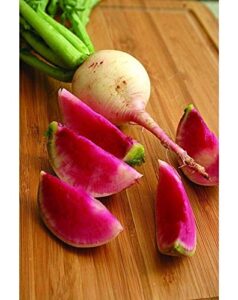 watermelon radish seeds - inside is red to pink, very sweet and crisp mmmmmm. (50 - seeds)