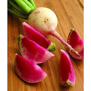 Watermelon Radish Seeds - Inside is red to Pink, Very Sweet and Crisp MMmmmm. (50 - Seeds)