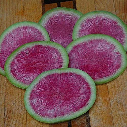 Watermelon Radish Seeds - Inside is red to Pink, Very Sweet and Crisp MMmmmm. (50 - Seeds)