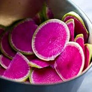 Watermelon Radish Seeds - Inside is red to Pink, Very Sweet and Crisp MMmmmm. (50 - Seeds)