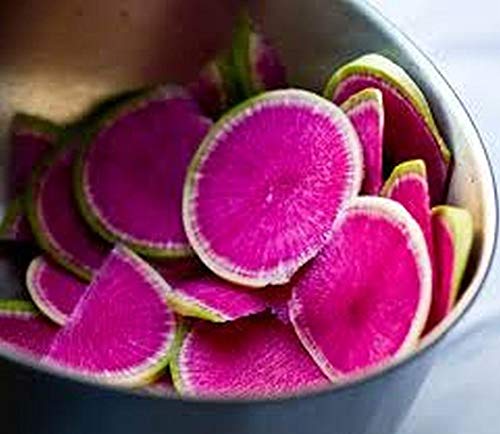 Watermelon Radish Seeds - Inside is red to Pink, Very Sweet and Crisp MMmmmm. (50 - Seeds)