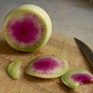 Watermelon Radish Seeds - Inside is red to Pink, Very Sweet and Crisp MMmmmm. (50 - Seeds)