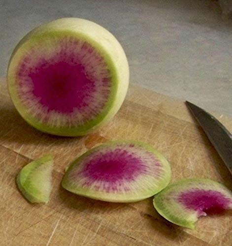 Watermelon Radish Seeds - Inside is red to Pink, Very Sweet and Crisp MMmmmm. (50 - Seeds)