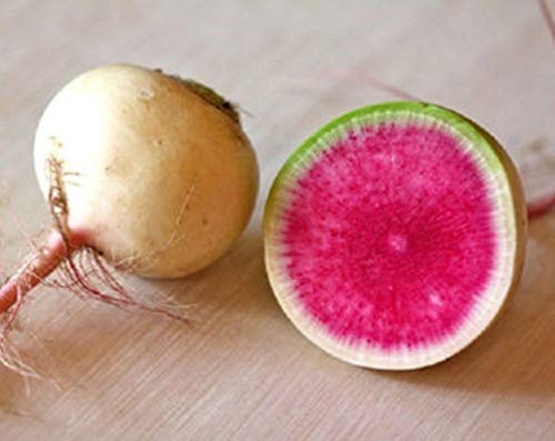 Watermelon Radish Seeds - Inside is red to Pink, Very Sweet and Crisp MMmmmm. (50 - Seeds)