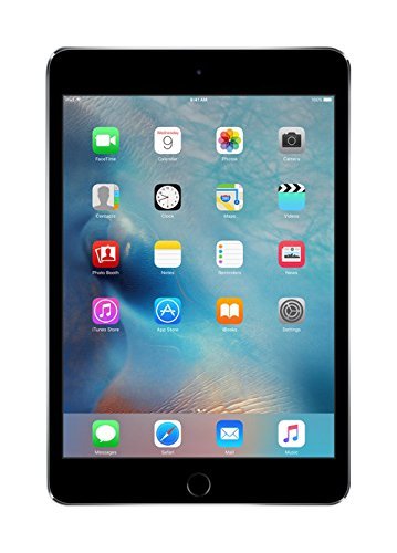 Apple iPad Mini 4 MK9G2LL/A 7.9-Inch Multi-Touch Retina Display, 64GB (Space Gray) (Renewed)