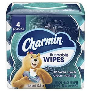 charmin flushable wipes, 4 packs, 40 wipes per pack, 160 total wipes