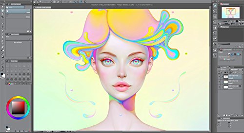 Clip Studio Paint Pro - Version 1 - for Microsoft Windows and MacOS