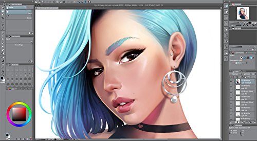 Clip Studio Paint Pro - Version 1 - for Microsoft Windows and MacOS