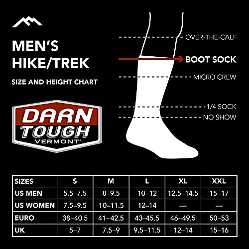 Darn Tough (Style 1972 Men's Light Hiker Hike/Trek Sock - Taupe, Large