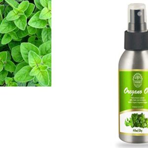 Essential Oil of Oregano - New Atomizer 2Oz Large 100% Pure Undiluted, Non GMO, Oregano Oil - Best Carvacrol