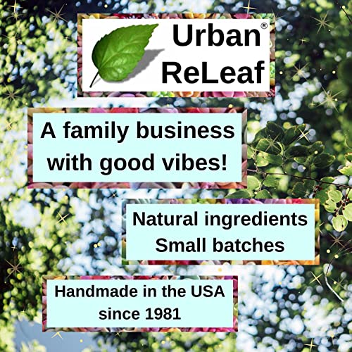 Urban ReLeaf Piercing Relief Solution ! Safely Clean, Soothe & Gently Heal New, Irritated and Keloid Piercings. 100% Natural Sea Salt, Tea Tree, Rosemary