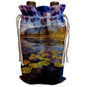 3drose danita delimont - scenics - lilly pads and swan range, mcwennger slough, kalispell, montana, usa - wine bag (wbg_314923_1)