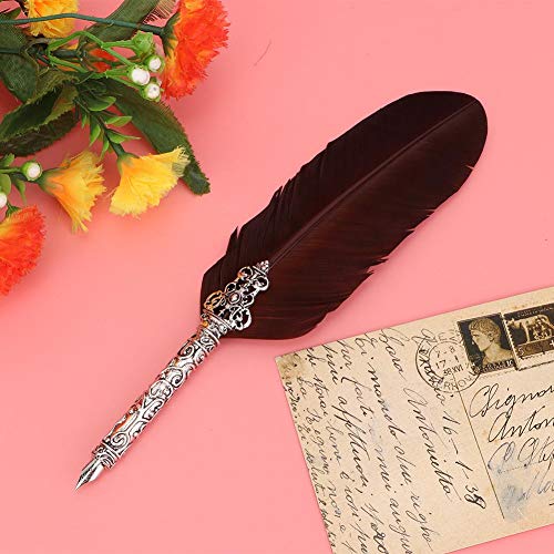 Hztyyier Vintage Quill Pen Fountain Pen Sign Pen Calligraphy Writing Quill Dip Pen Set in Delicate Gift Storage Box(Brown) School Supplies