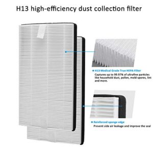 WOCASE F1 Advanced Allergen Reduction, Compatible with 3M Filtrete C01 T02 Room Air Purifier,H13 Medical Grade HEPA Replacement Filter, 2 Pack