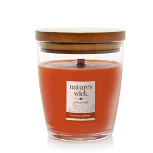 nature's wick pumpkin nutmet scented candle, 10 ounces, medium