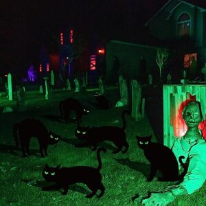 Ivenf Halloween Decorations Outdoor, 6ct Black Cat Decor Yard Signs with Stakes, Scary Silhouette with Glow in Dark Eyes, Corrugated Plastic, Waterproof Lawn Decorations for Kids Family Home Party