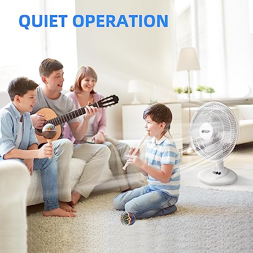 BEYOND BREEZE Oscillating Table Fan Quiet 3-Speed 12-Inch Adjustable Tilt Fan with Safety Grill, Ideal for Home, Office, Dorm