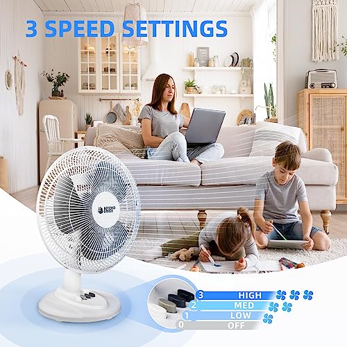 BEYOND BREEZE Oscillating Table Fan Quiet 3-Speed 12-Inch Adjustable Tilt Fan with Safety Grill, Ideal for Home, Office, Dorm