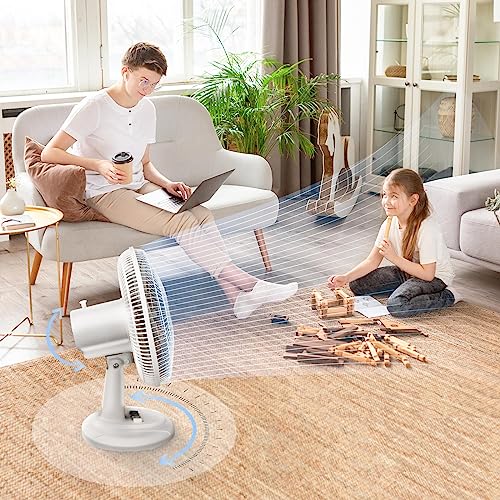 BEYOND BREEZE Oscillating Table Fan Quiet 3-Speed 12-Inch Adjustable Tilt Fan with Safety Grill, Ideal for Home, Office, Dorm