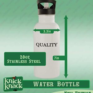 Knick Knack Gifts #skinful - 20oz Stainless Steel Water Bottle, Silver