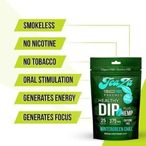 TeaZa Energy Smokeless Alternative with Hemp | Quit Chewing and Dipping Snuff | Nicotine and Caffeine Free Herbal Energy Pouch (Wintergreen Chill, 2 Pack)