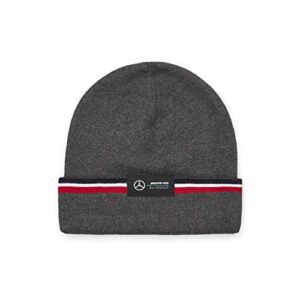 Mercedes Benz AMG Petronas F1 Team Beanie Gray