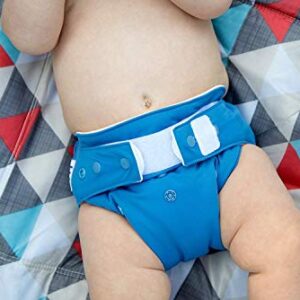 GroVia O.N.E. Reusable Baby Cloth Diaper (Bear in Mind)