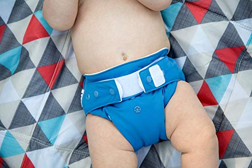 GroVia O.N.E. Reusable Baby Cloth Diaper (Bear in Mind)