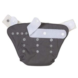 GroVia O.N.E. Reusable Baby Cloth Diaper (Bear in Mind)