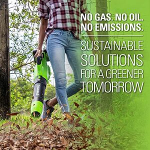 Greenworks 2 x 24V (48V) Cordless Axial Leaf Blower (125 MPH / 515 CFM / 125+ Compatible Tools), (2) 2.0Ah Batteries and Dual Port Charger Included