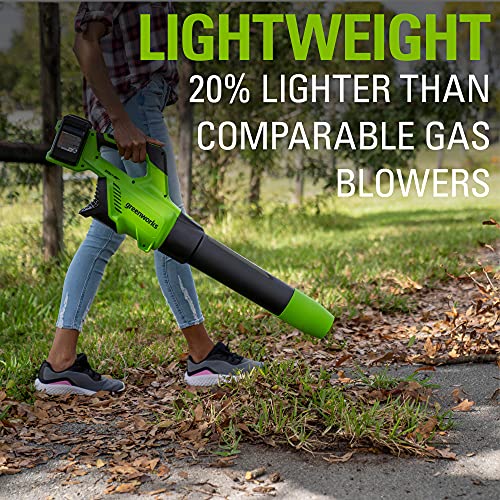 Greenworks 2 x 24V (48V) Cordless Axial Leaf Blower (125 MPH / 515 CFM / 125+ Compatible Tools), (2) 2.0Ah Batteries and Dual Port Charger Included