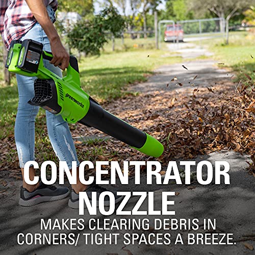 Greenworks 2 x 24V (48V) Cordless Axial Leaf Blower (125 MPH / 515 CFM / 125+ Compatible Tools), (2) 2.0Ah Batteries and Dual Port Charger Included