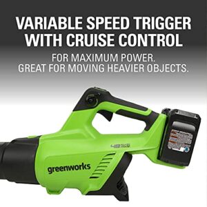 Greenworks 2 x 24V (48V) Cordless Axial Leaf Blower (125 MPH / 515 CFM / 125+ Compatible Tools), (2) 2.0Ah Batteries and Dual Port Charger Included