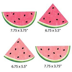 Big Dot of Happiness Sweet Watermelon - Decorations DIY Fruit Party Essentials - Set of 20