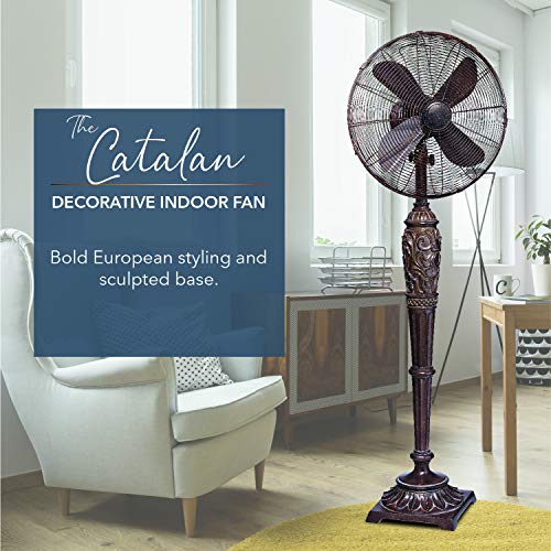 Oscillating Decorative Fan for Your Desk, Kitchen, Office, Bedroom - 12 Inch Fan Head, 3 Speeds with Tilting Head for Cooling Your Room Fast - Small, Quiet, Portable, Personal Desktop Fan (Catalan, Floor)